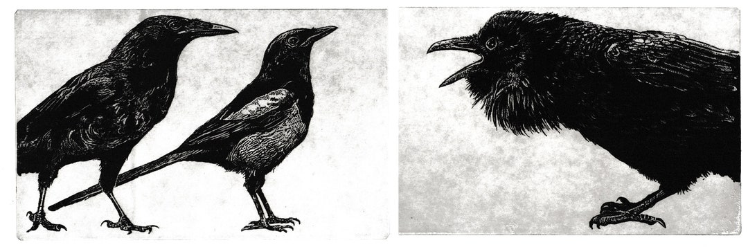 Wall Art, Raven, Crow, Magpie, Etching, Assorted Colors, Wall Décor ...
