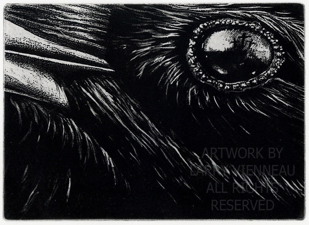 Wall Art, Raven Artwork, Raven, Crow, Etching, Raven Eye, Creator ...