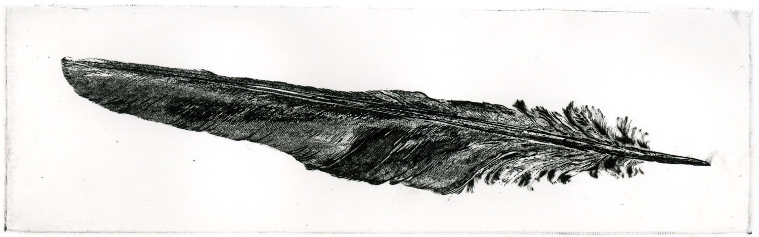 Raven Feather Drawing