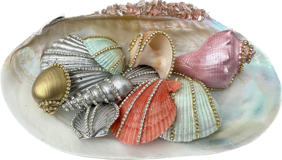 Large Polished Mother of Pearl Shell Dish With Crystal-embellished ...