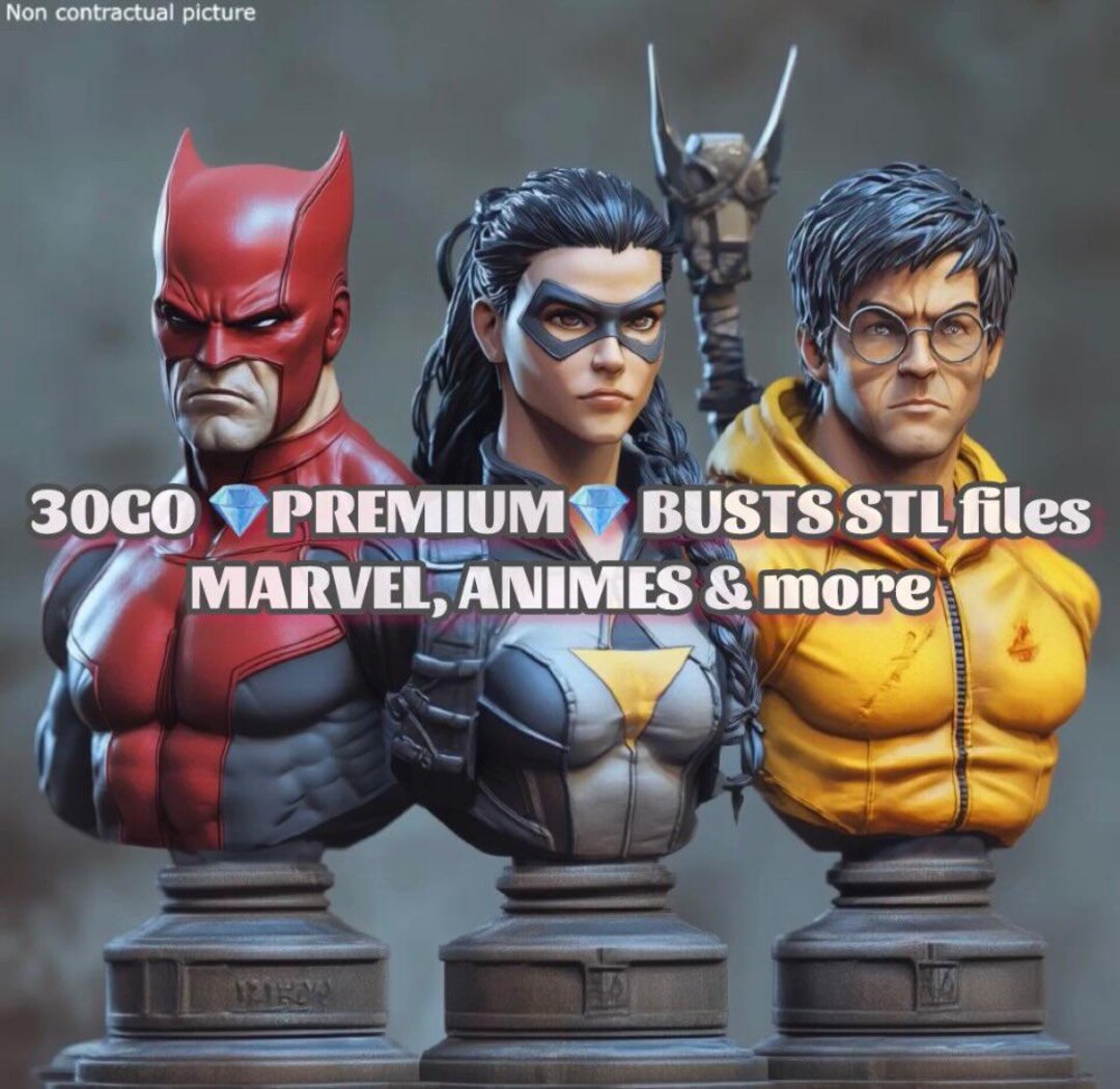 Lot 30GB Bust STL, Mega Pack Bust STL, 3D Printing, Figurines, Manga ...
