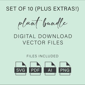Plant Illustration Art Svg Vector Bundle - Etsy