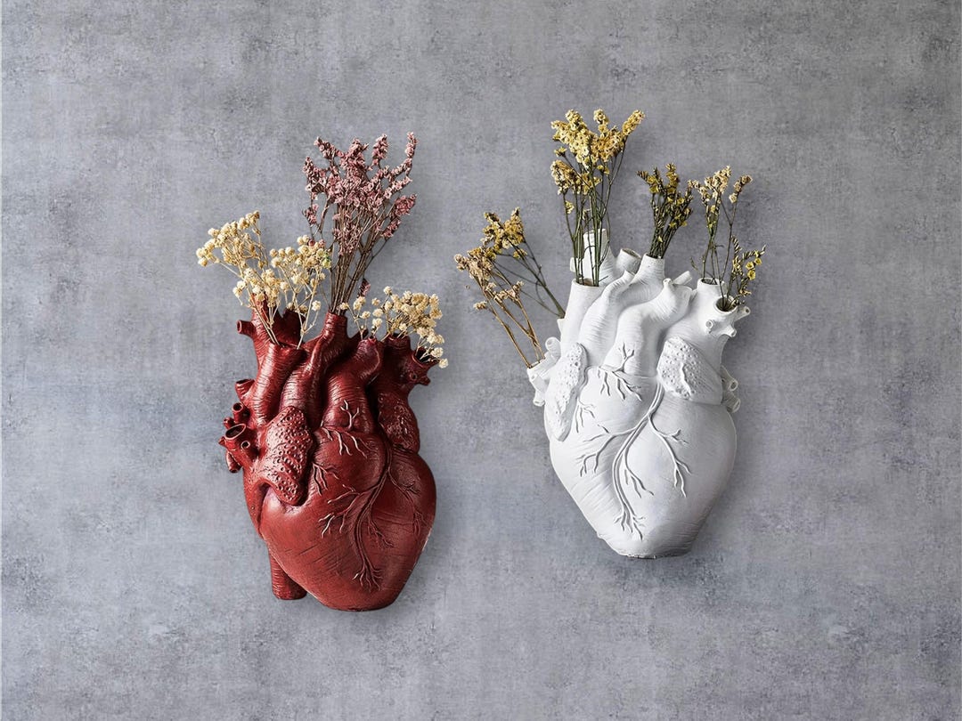 Anatomical Heart Ceramic Vase | Unique Home & Office Decor in Red White ...
