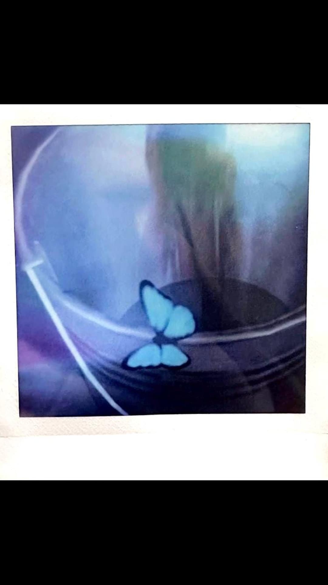 Life is Strange Polaroid Videogame Art - Blue Butterfly Bathroom - Etsy