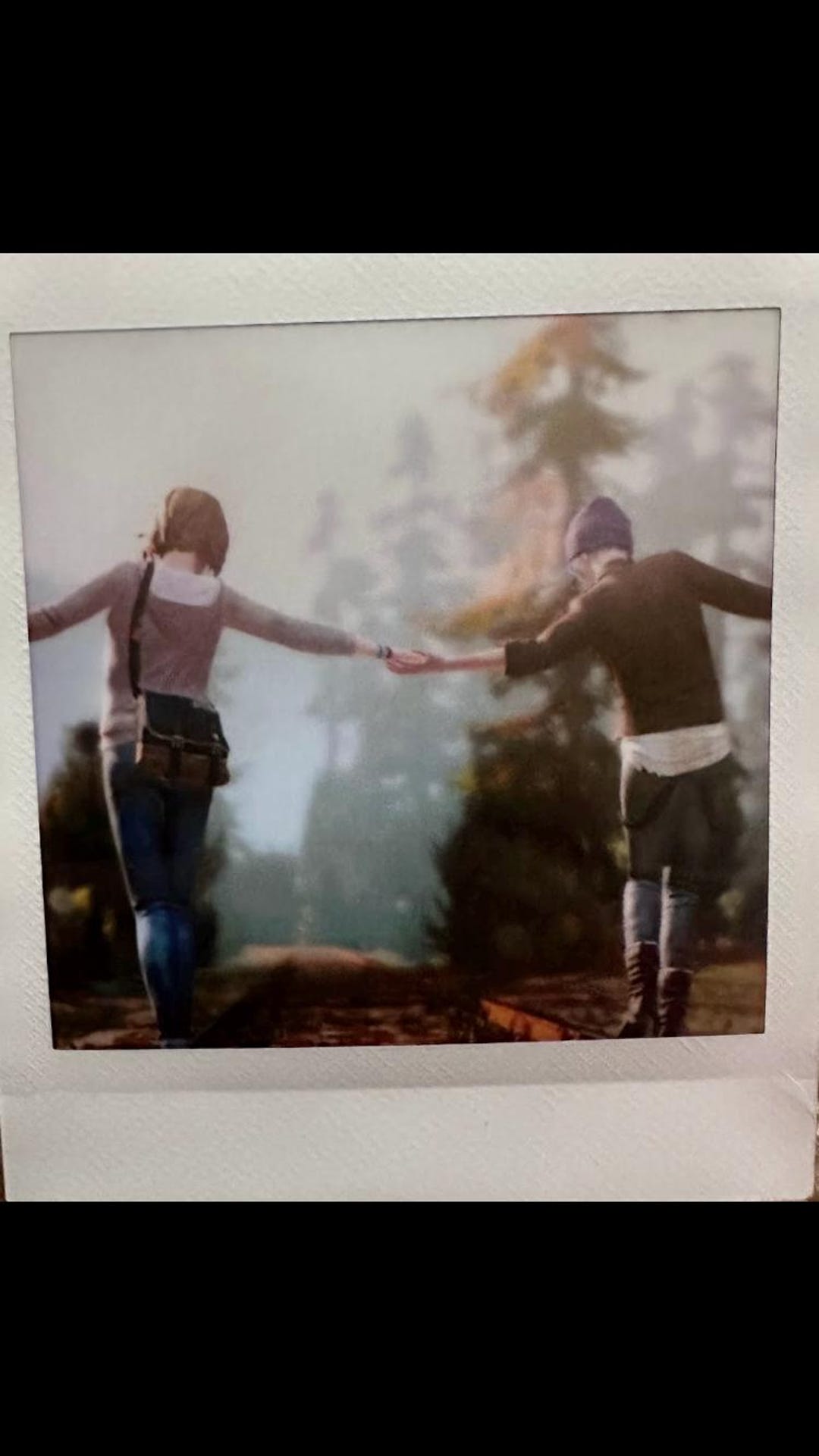 Life is Strange Polaroid, Videogame Max Caulfield and Chloe Price ...
