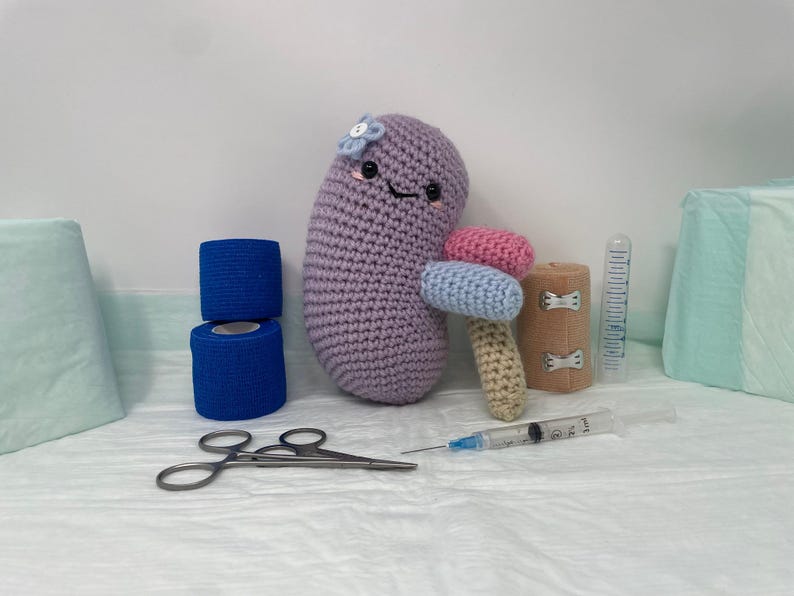 Crochet Right Kidney Plushie, Kitty the Kidney - Etsy