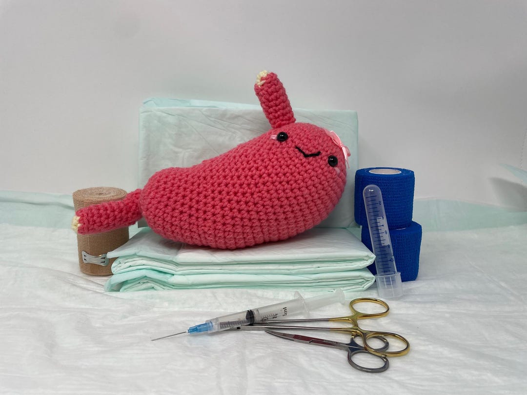 Amigurumi Crochet Stomach, Sylvia the Stomach - Etsy
