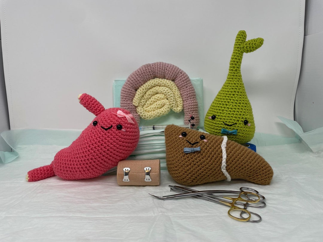 Crochet Digestive System, Gary the Gallbladder, Lucas the Liver, Ian ...