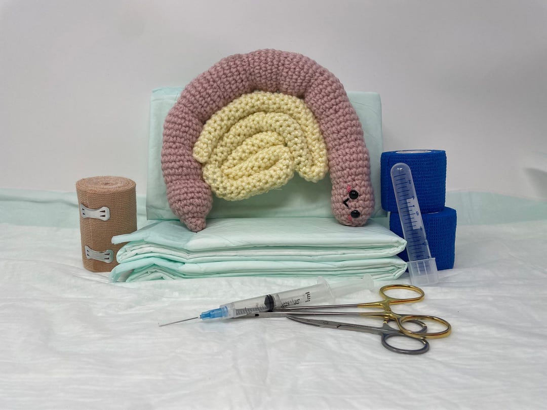 Amigurumi Crochet Intestines, Ian the Intestines - Etsy