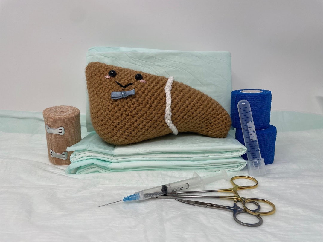 Amigurumi Crochet Liver, Lucas the Liver - Etsy