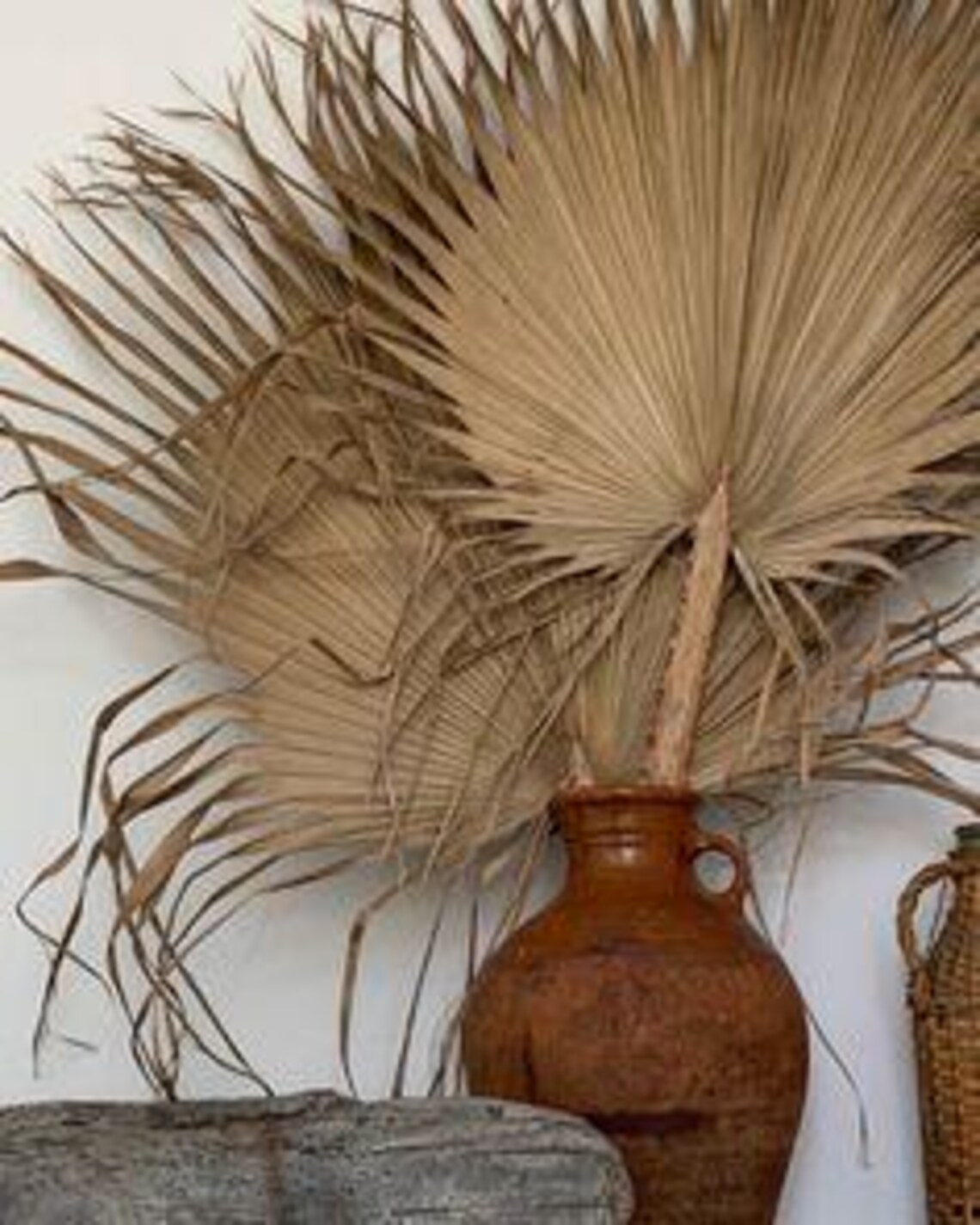 Jumbo Dried Sun Palm Wispy Natural Spades Leaf, Dried Floral Boho Dry Pampas Floral Home Party ...