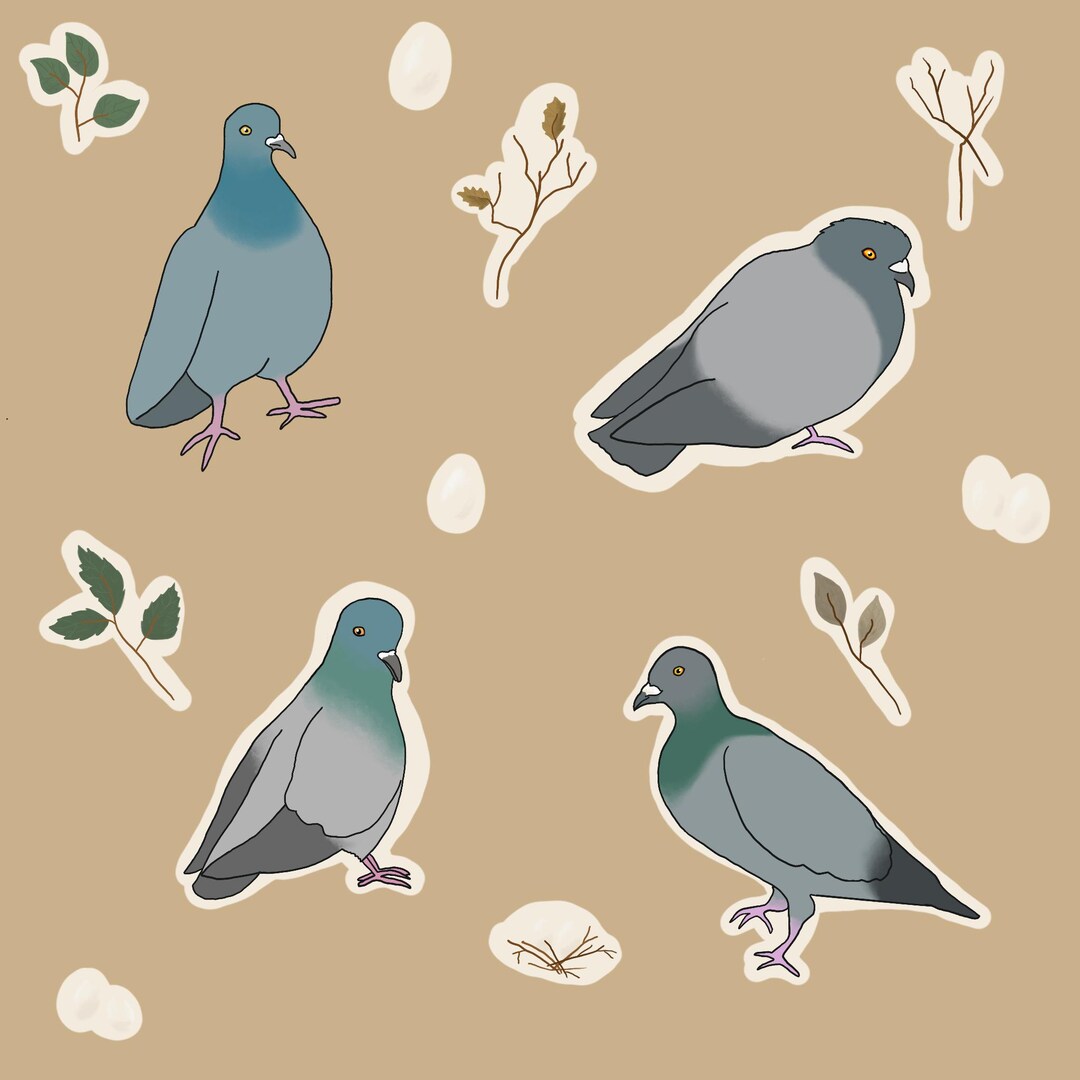 Cute Pigeon Stickers – Doves, Eggs & Nest Twigs | Bird Lover Stickers ...