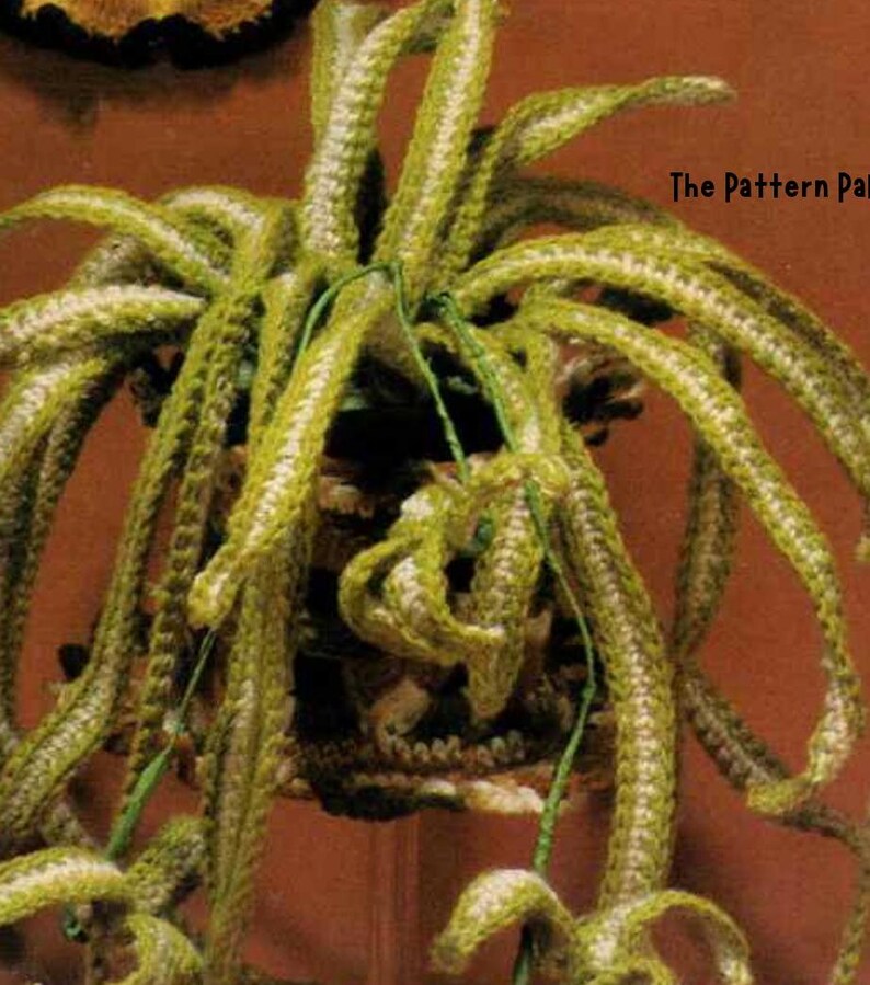 Vintage Crochet Spider Plant Pattern | Realistic Faux Hanging ...