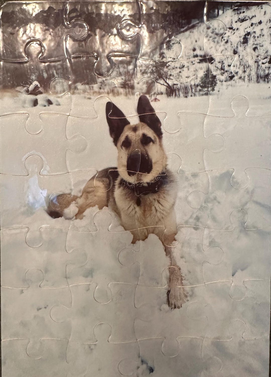 Custom Printed Puzzle - Etsy