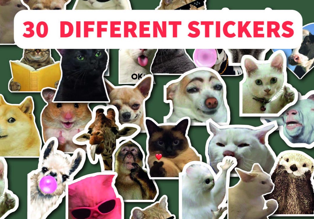 Animal Memes Stickers, Teacher Memes Stickers, Text Stickers, Reaction ...