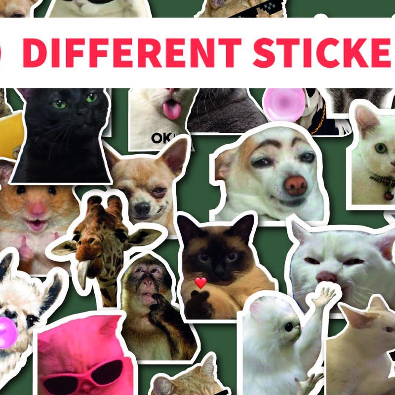 Teacher Meme Stickers - Etsy