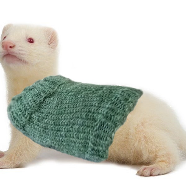 Ferret Clothes - Etsy