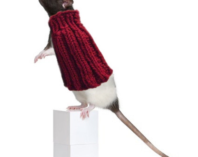 Pet Rat Sweater Cozy Unique Extra Stretchy One-size-fits-most Rodents ...