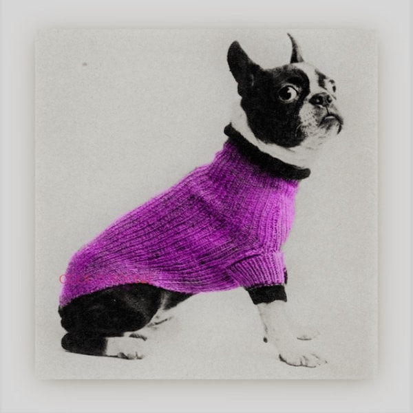 Bulldog Knitting Pattern - Etsy