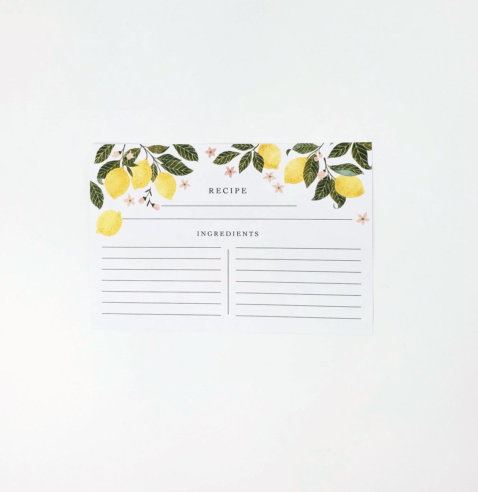 Lemons Hand Illustrated Recipe Cards Set of 10 4x6 Flat - Etsy