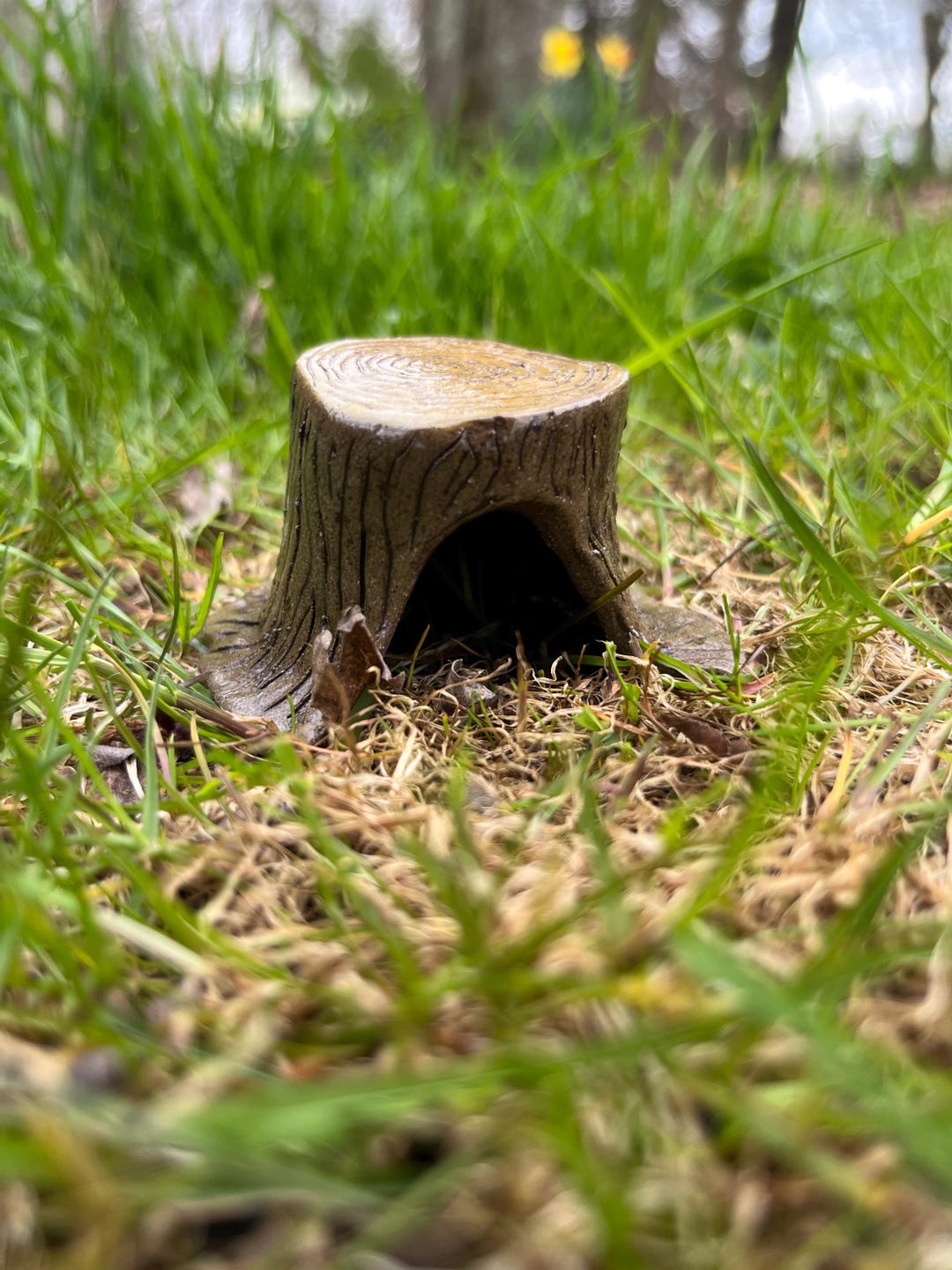 Ceramic Reptile Hide Frog Tarantula Fairy Garden Terrarium Vivarium ...