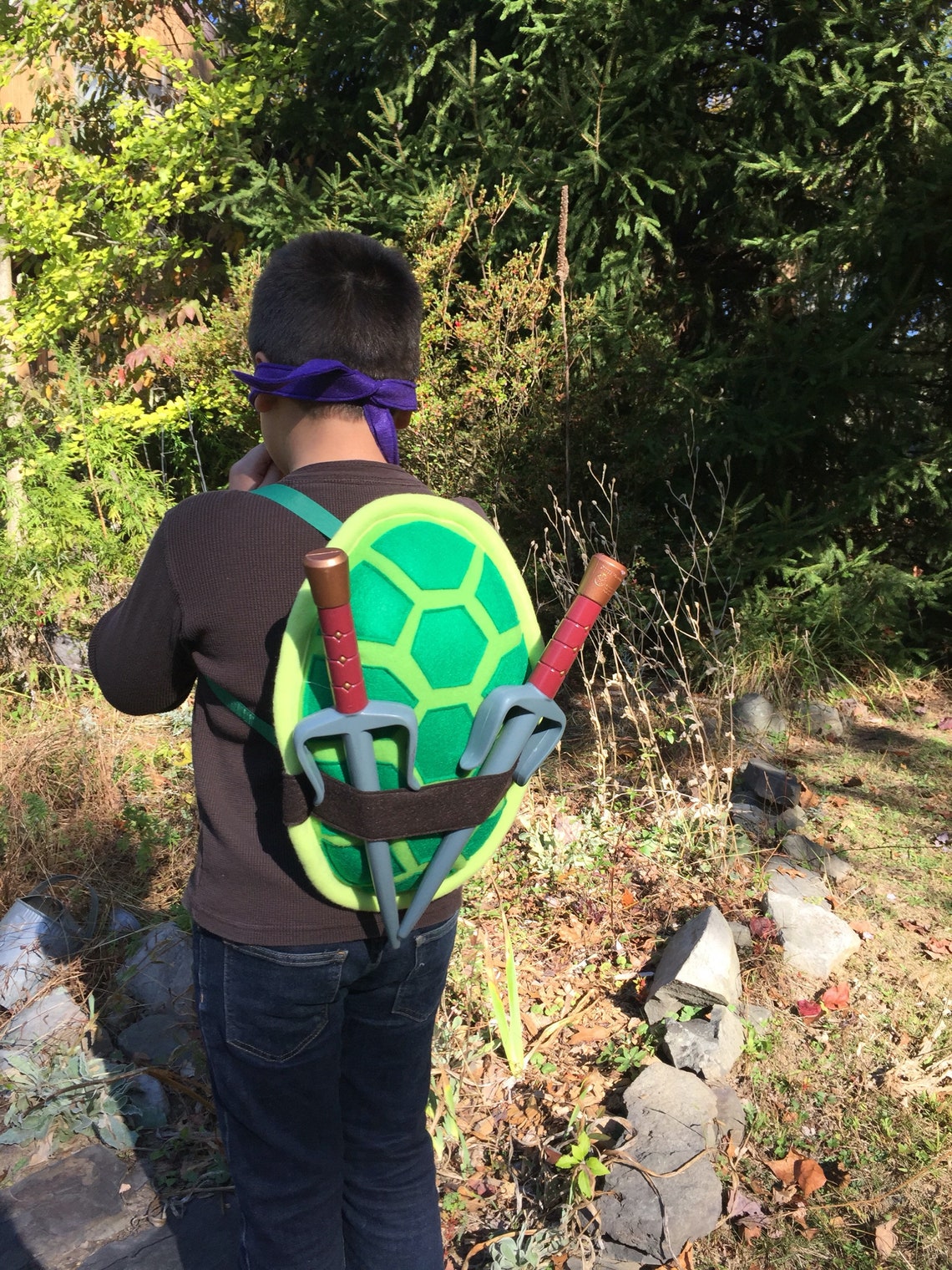 Teenage Mutant Ninja Turtle Inspired Shell - Etsy
