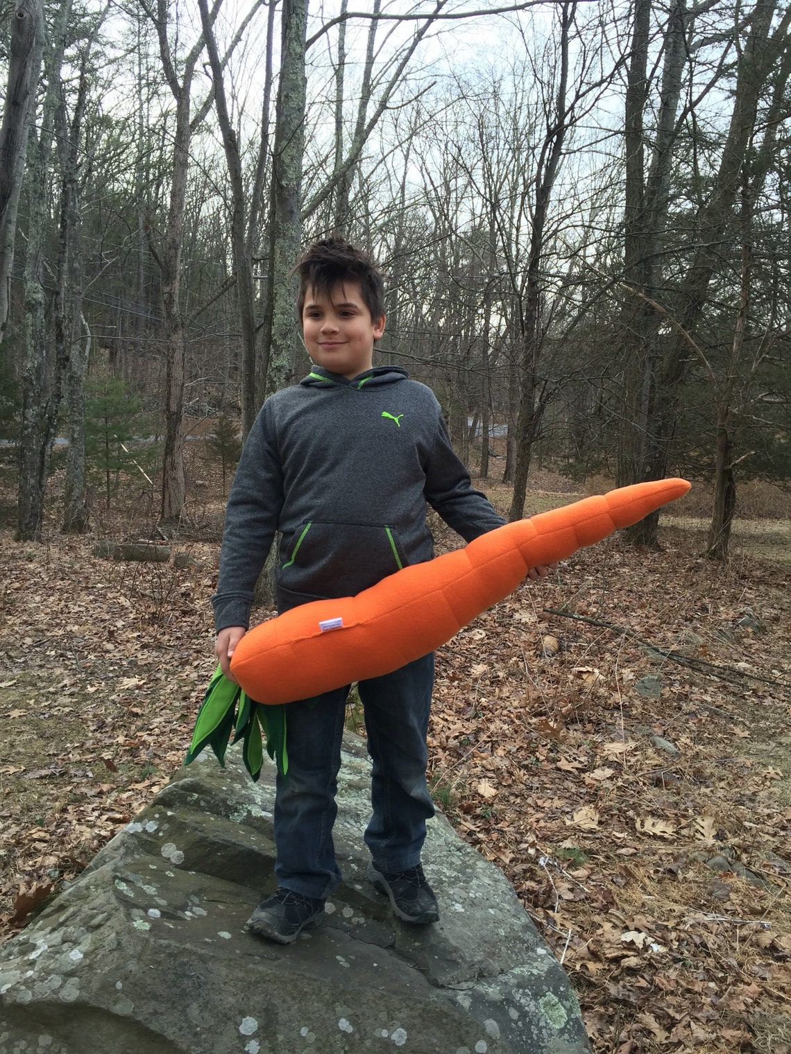 HUGE Plush Carrot - Etsy