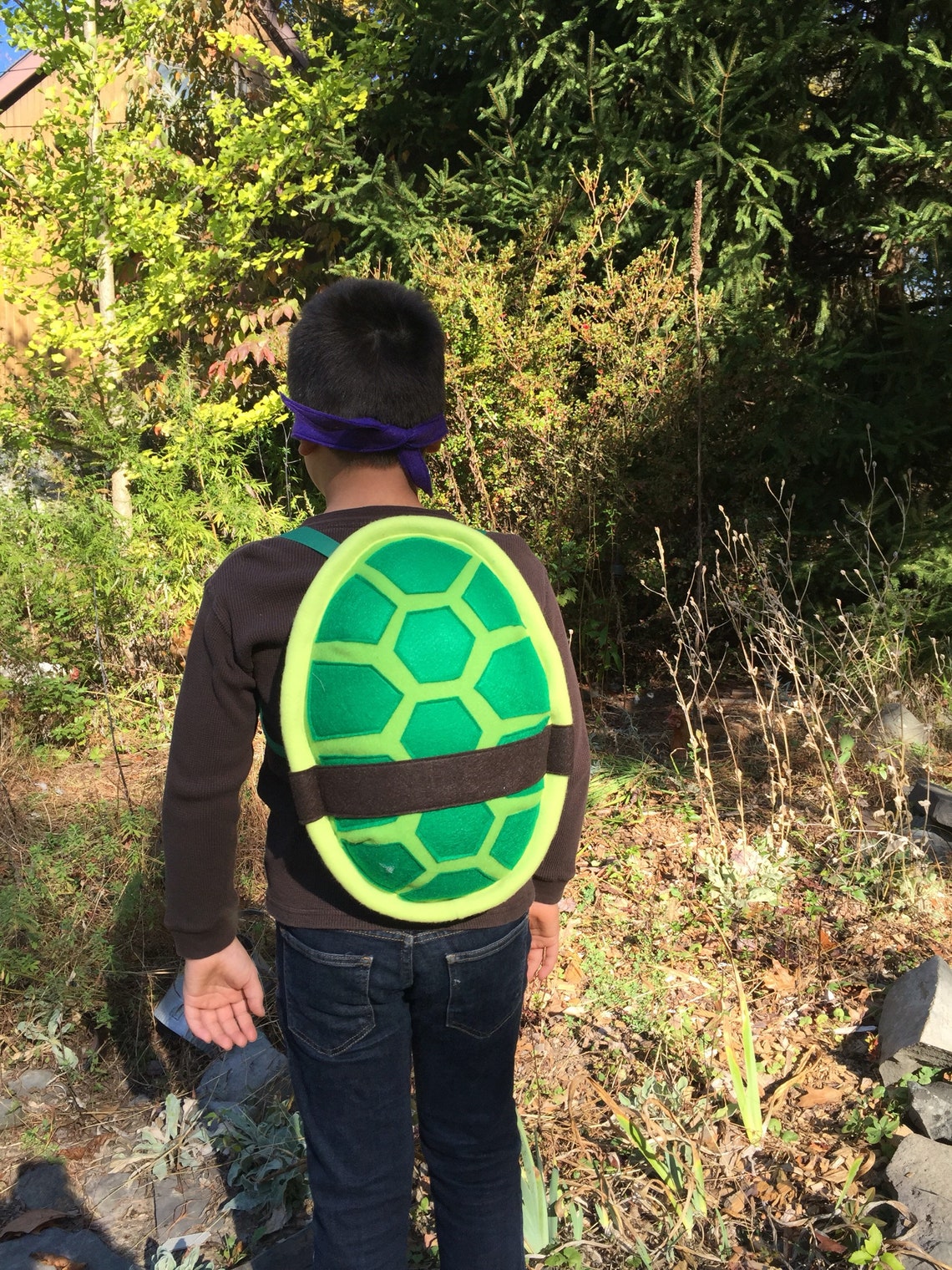 Teenage Mutant Ninja Turtle Inspired Shell - Etsy