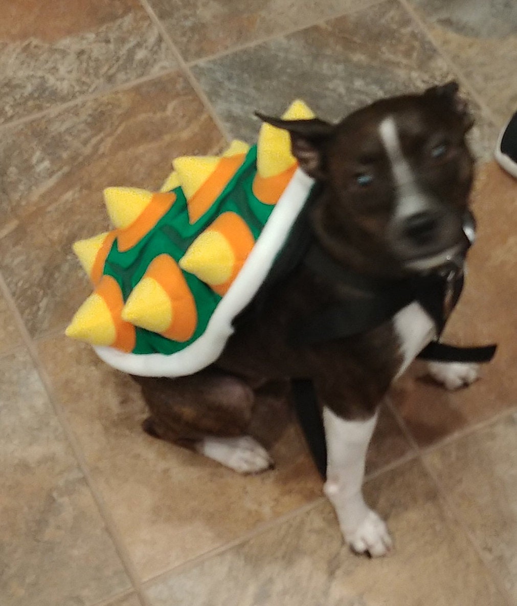 Bowser Costume For Dogs