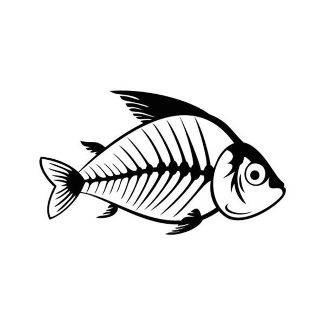 Fishbone Cuttable Design SVG PNG DXF & Eps Designs Cameo File ...