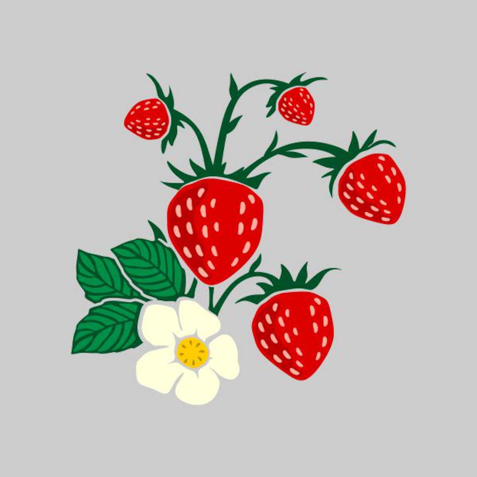 Strawberry Flower Cuttable Design SVG PNG DXF & Eps Designs Cameo File ...