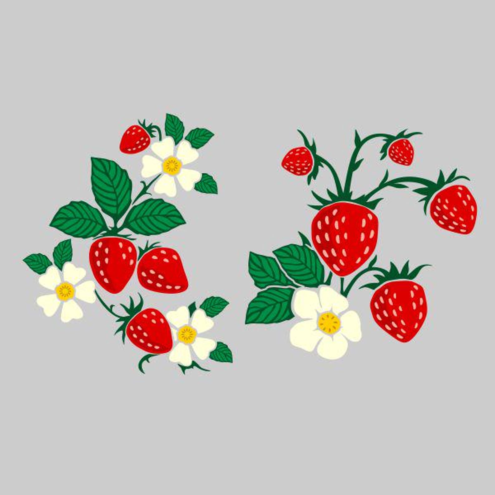 Strawberry Flower Cuttable Design SVG PNG DXF & Eps Designs Cameo File ...