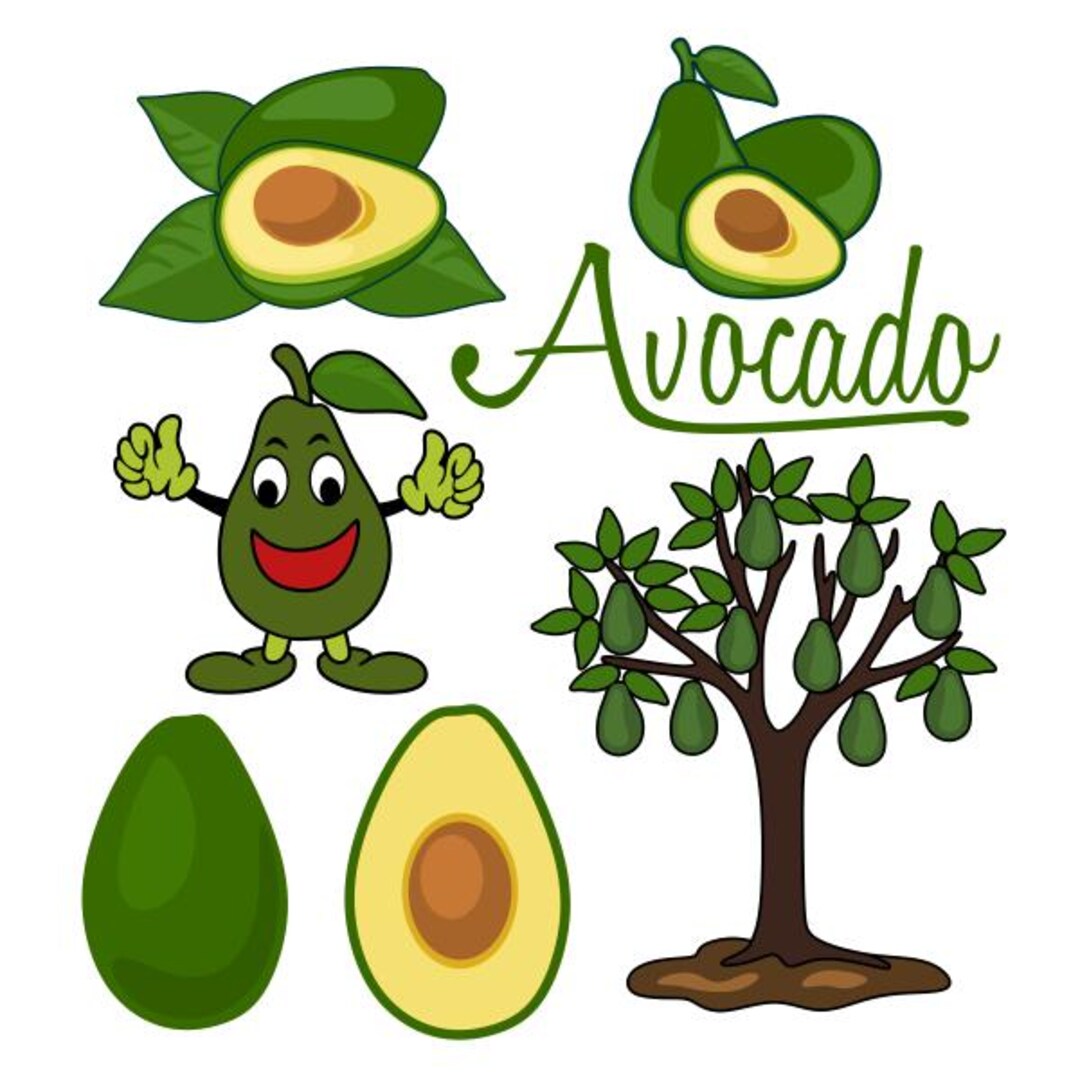 Avocado Cuttable Design SVG PNG DXF & Eps Designs Cameo File Silhouette ...