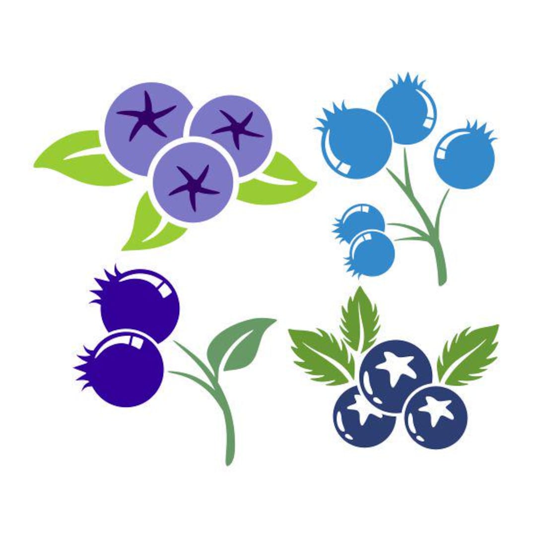 Blueberry Cuttable Design SVG PNG DXF & Eps Designs Cameo File ...