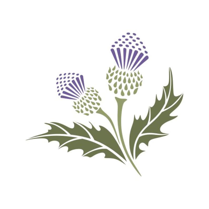 Thistle Flowers Cuttable Design SVG PNG DXF & Eps Designs Cameo File ...
