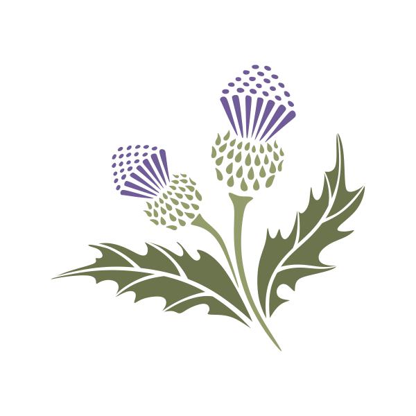Thistle Flowers Cuttable Design SVG PNG DXF & Eps Designs Cameo File ...