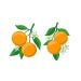 Orange Cuttable Design SVG PNG DXF & Eps Designs Cameo File Silhouette ...