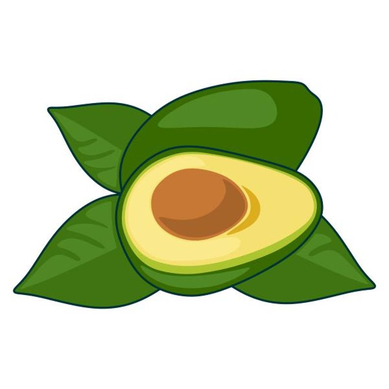 Avocado Cuttable Design SVG PNG DXF & Eps Designs Cameo File Silhouette ...
