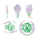 Lavender Cuttable Design SVG PNG DXF & Eps Designs Cameo File ...