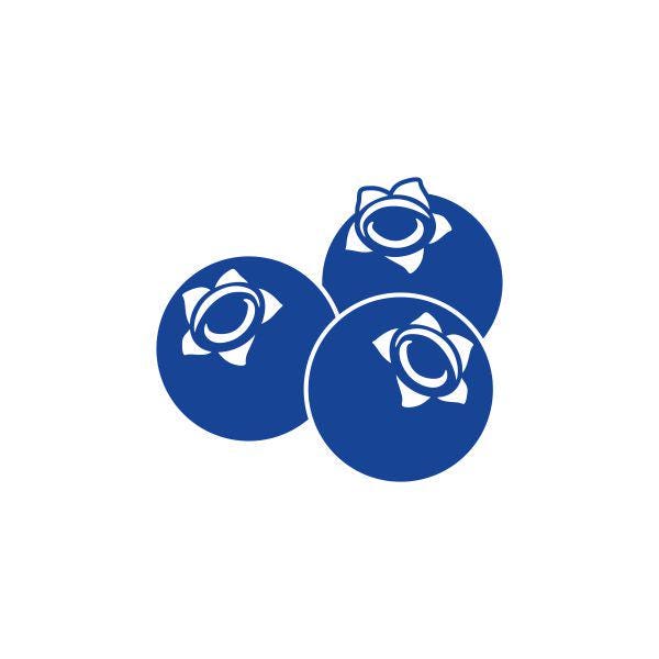 Blueberry Decal Cuttable Design SVG PNG DXF & Eps Designs Cameo File ...
