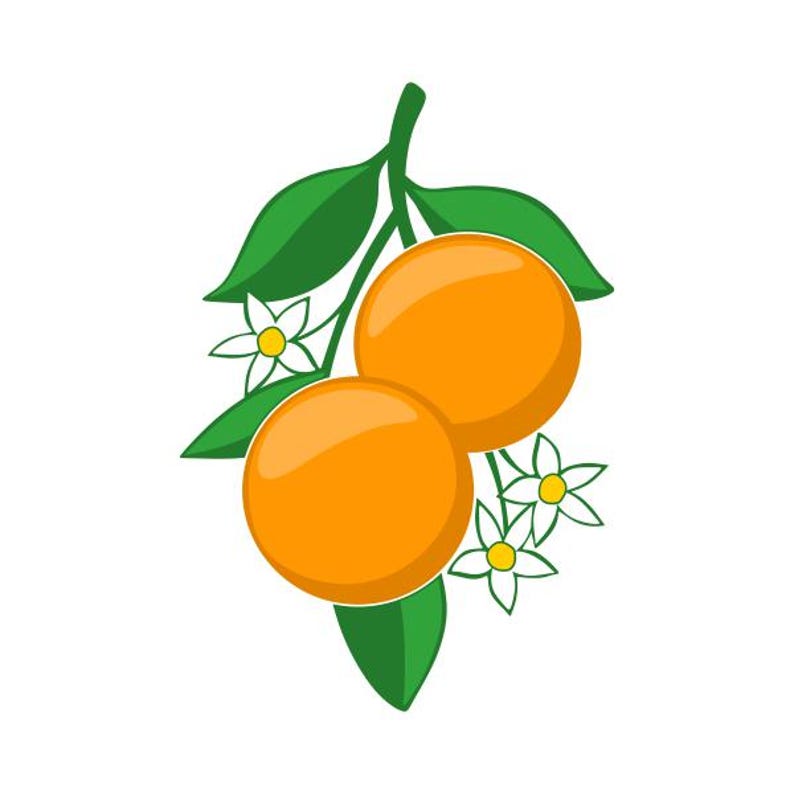 Orange Cuttable Design SVG PNG DXF & Eps Designs Cameo File Silhouette ...