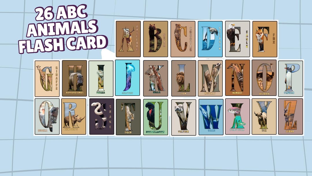 26 ABC Animal Flash Cards PNG | Digital Download |educational Kids ...