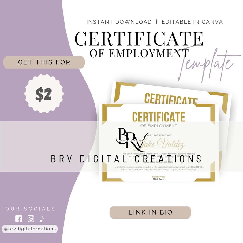 Certificate of Employment Template | Professional COE Design | Instant ...