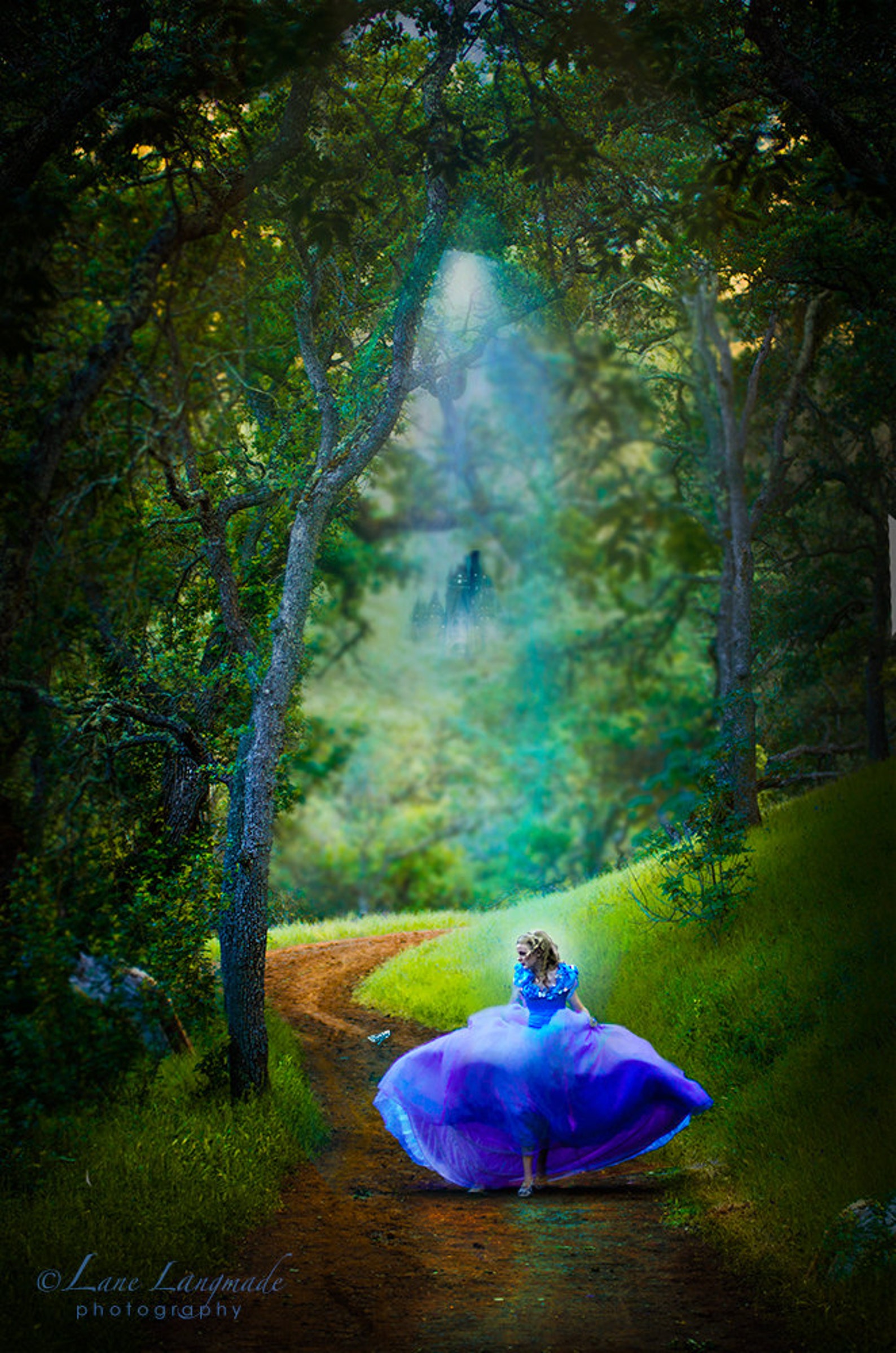 Cinderella Costume 2015 CUSTOM Cinderella Dress for Girls - Etsy