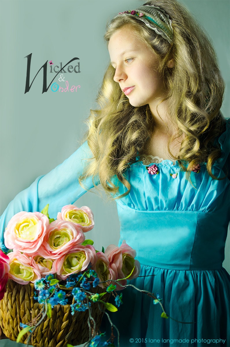 Ella Dress Ella Cinderella Servant Girl Dress Cinderella - Etsy