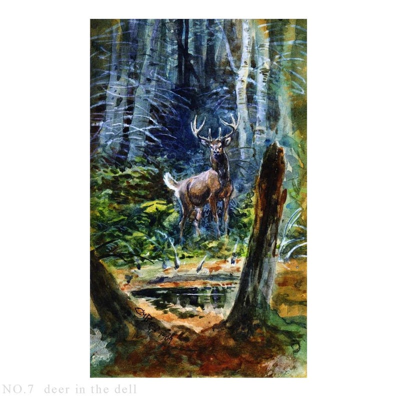 9 Hand Painted Deer Art Elk Oil Paintings Buffalo Artworks, Wild West ...