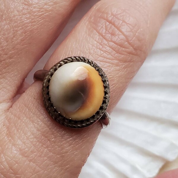 Operculum Jewelry - Etsy