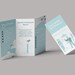 Health Insurance Flyer Template: Editable Canva Design (digital) - Etsy