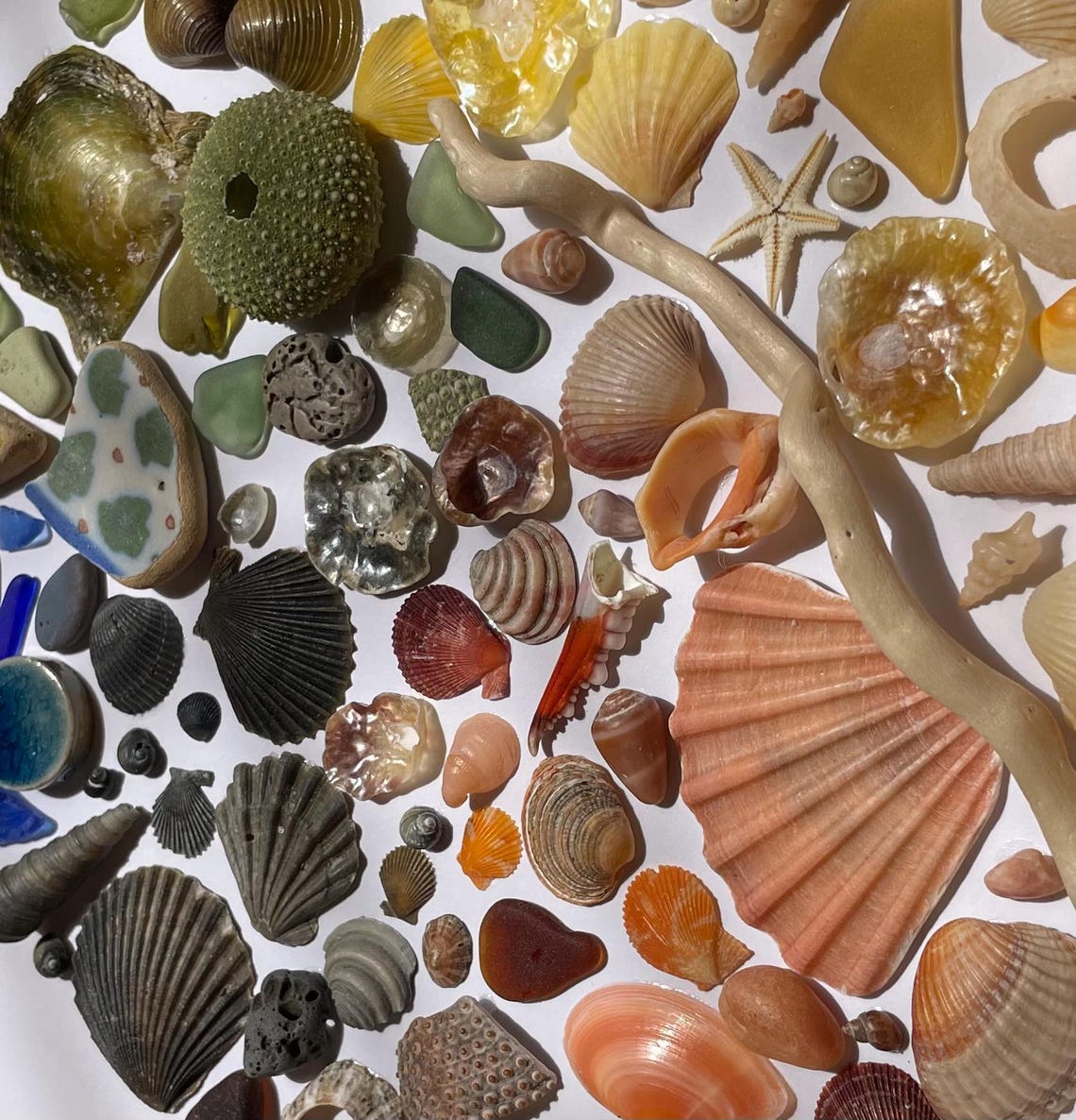 A Handmade Costal Decoration "the Colors of the Beach" Shell Mosaic - Etsy