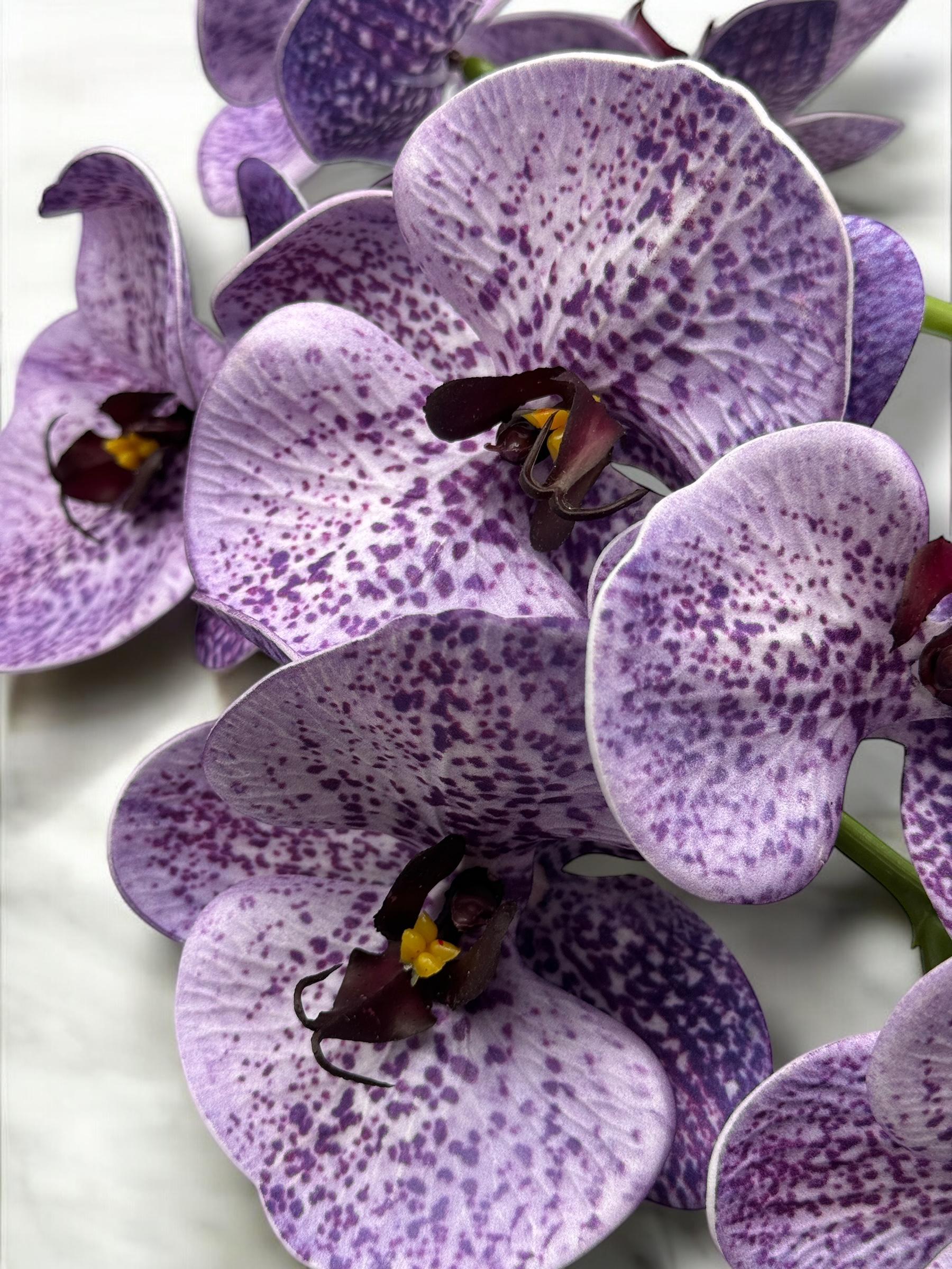 Realistic Purple Orchid Stem – 38-inch Branch With 7 Flowers and 3 Buds ...
